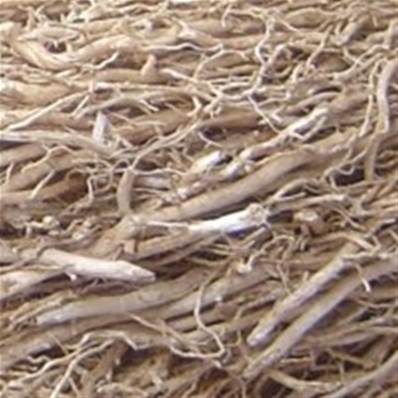 Huile essentielle de cypriol par Fragrance Création